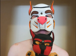 Buy Pup Play Gear - Top List of Sellers Worldwide | Compare now